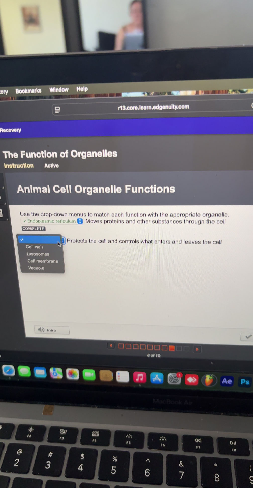 The Function of Organelles Animal Cell