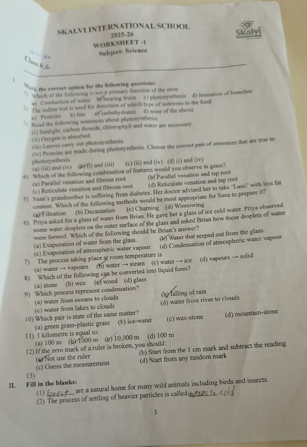 II. Fill in the blanks: (1) forest are a