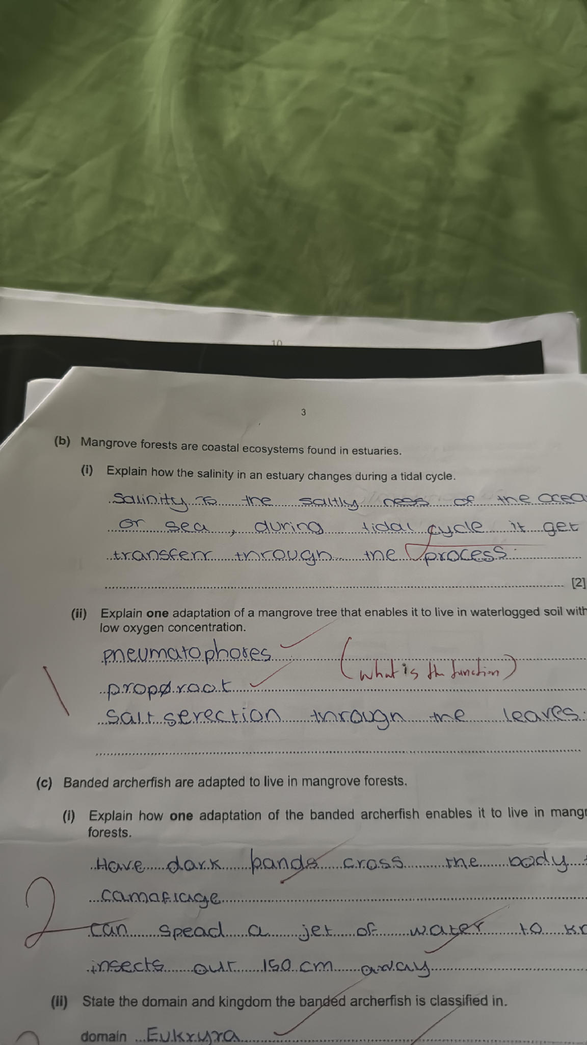 (b) Mangrove forests are coastal ecosystems | StudyX