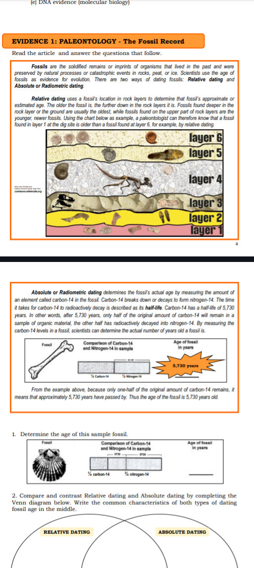 Read the article and answer the questions | StudyX