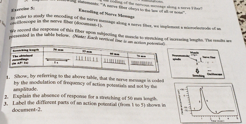 Exercise 5: Encoding of Nerve Message In | StudyX