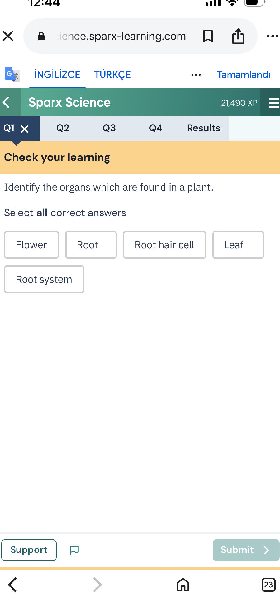 Identify the organs which are found in a | StudyX