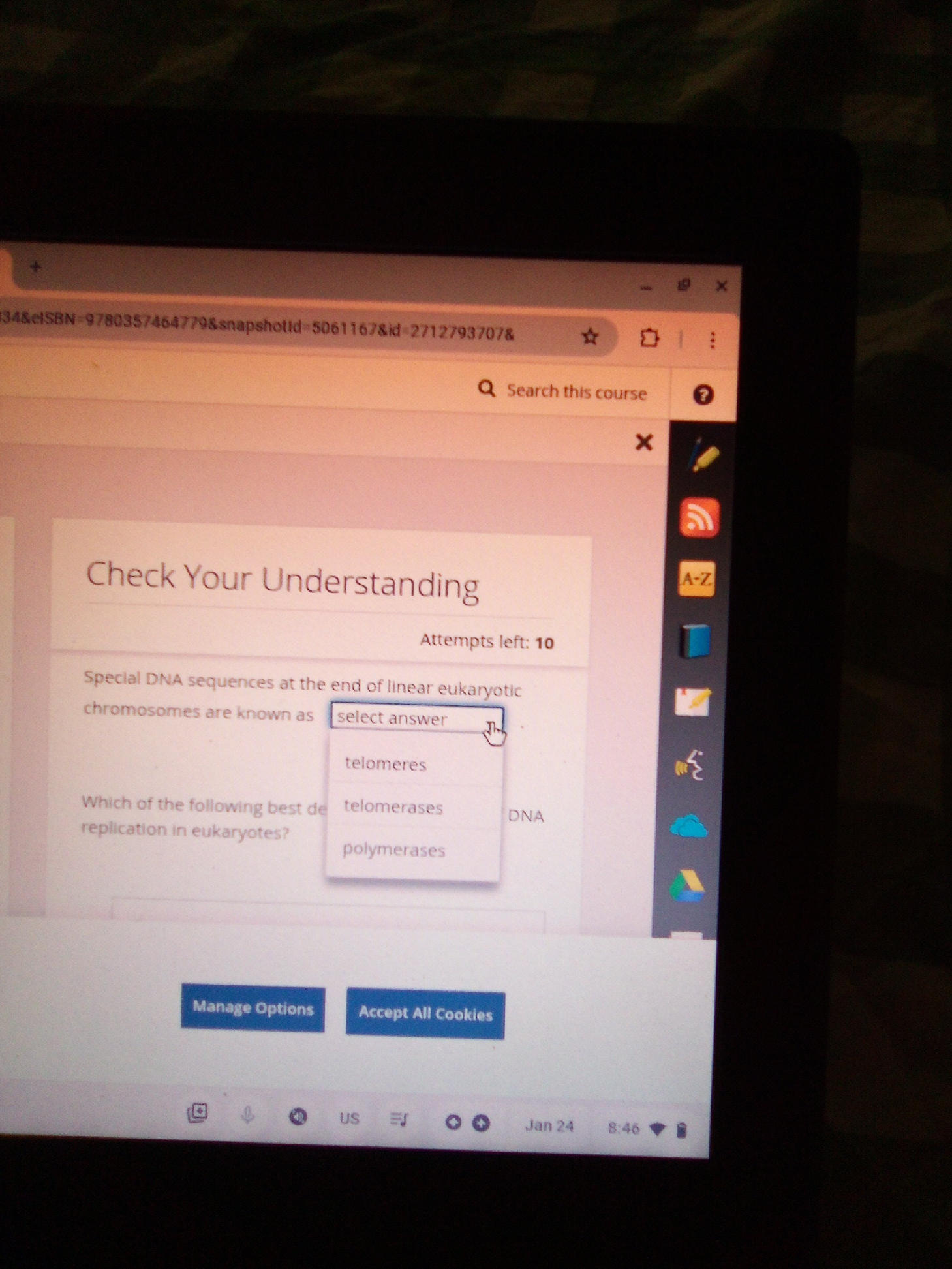 Special DNA sequences at the end of linear | StudyX