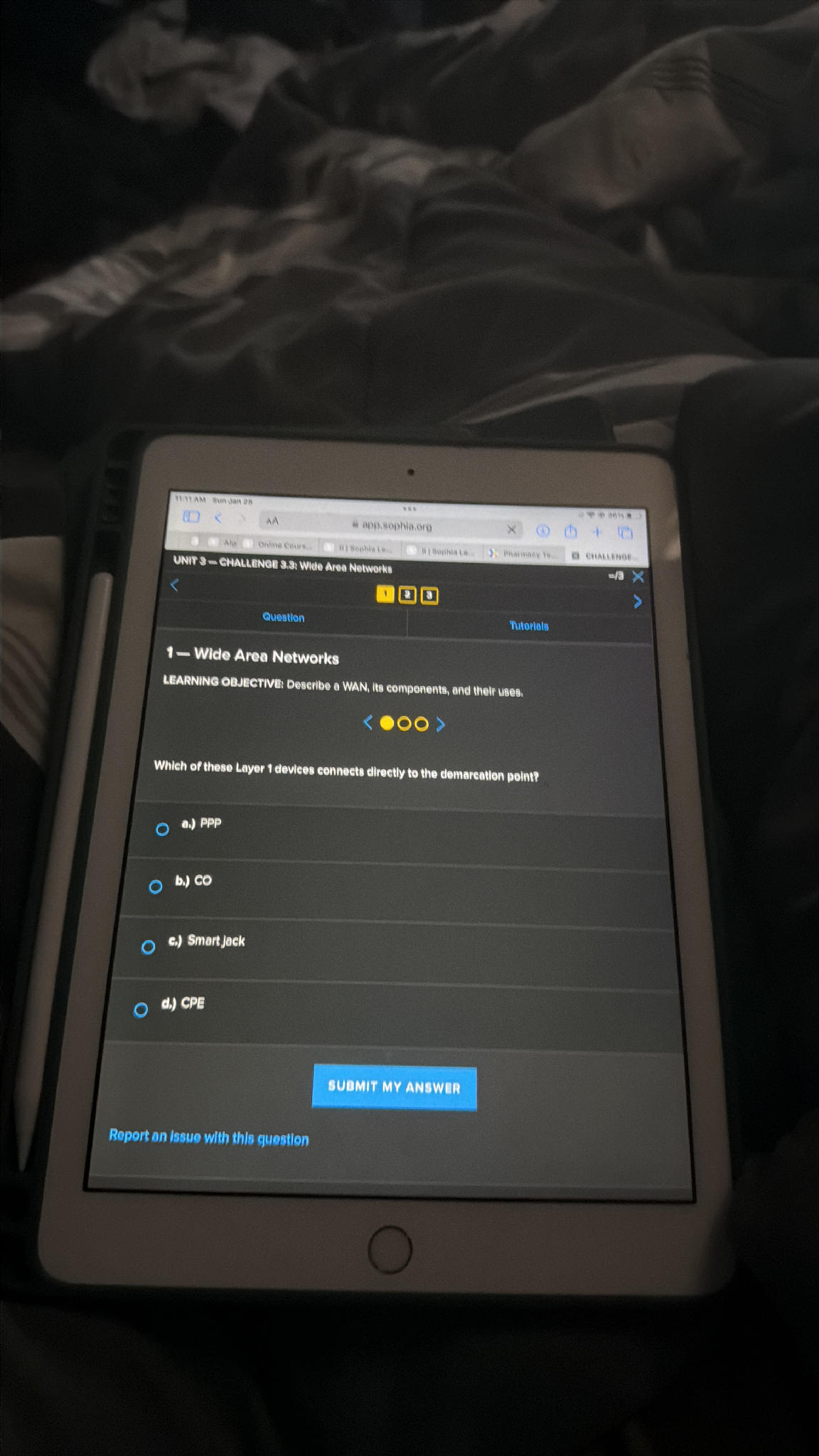 UNIT 3 - CHALLENGE 3.3: Wide Area Networks | StudyX