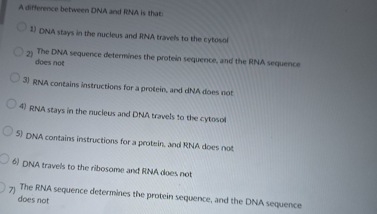 A difference between DNA and RNA is that: | StudyX