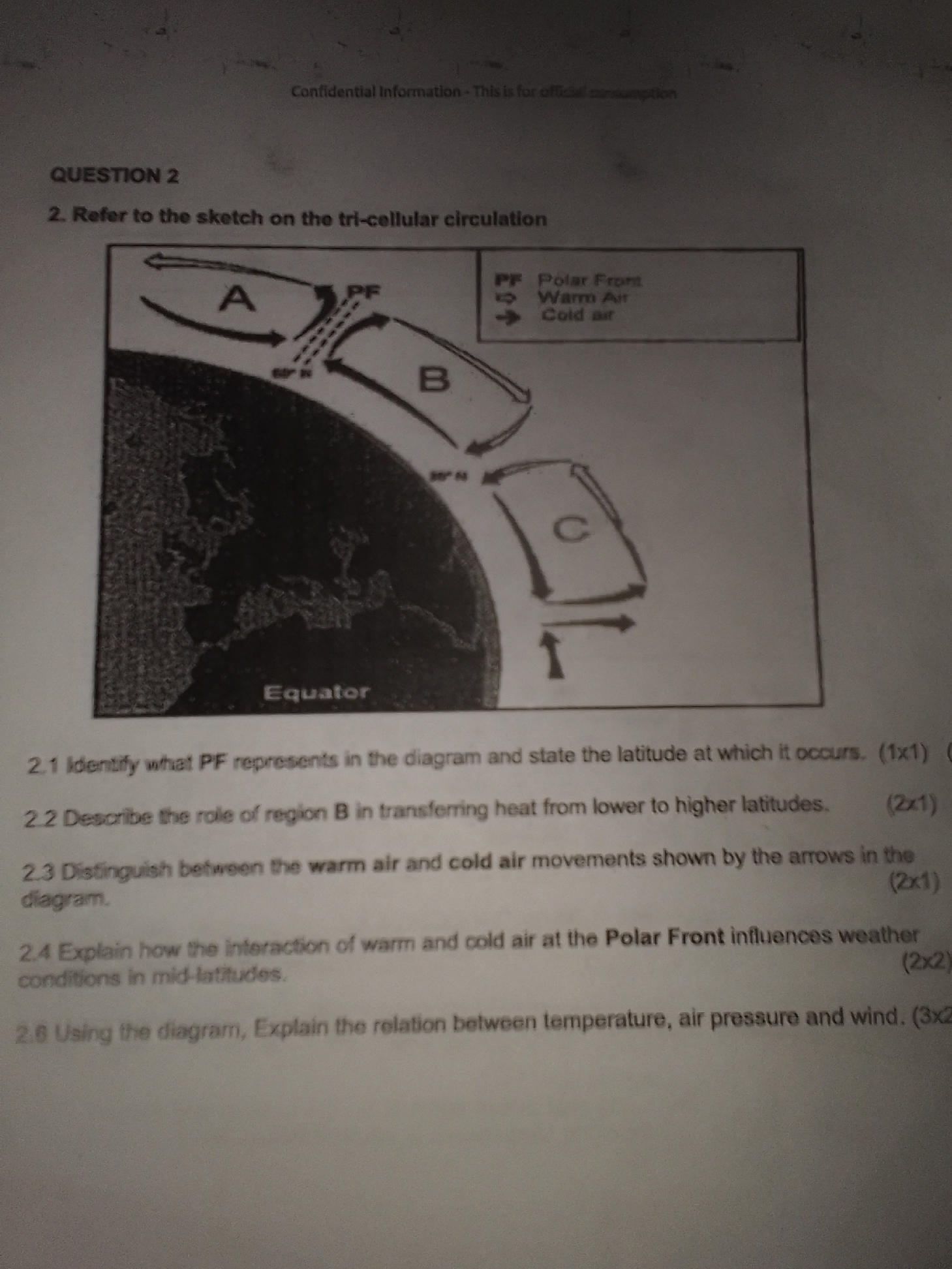 2. Refer to the sketch on the tri-cellular | StudyX