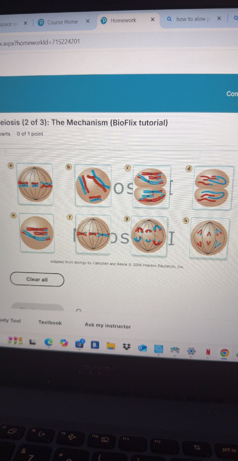 Meiosis (2 of 3): The Mechanism (BioFlix | StudyX