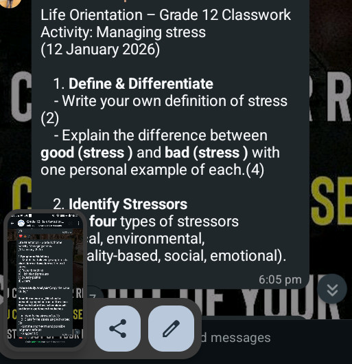 Life Orientation – Grade 12 Classwork | StudyX