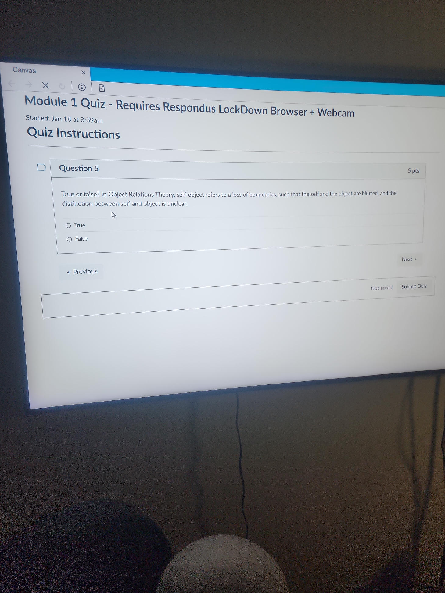 True or false? In Object Relations Theory, | StudyX