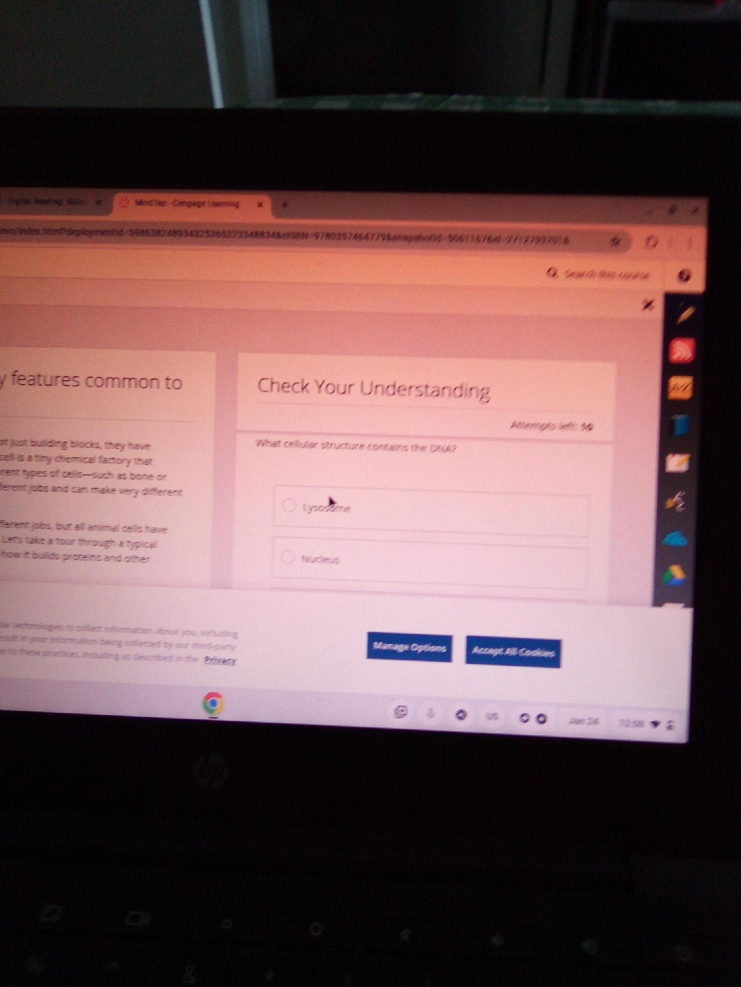 What cellular structure contains the DNA? | StudyX