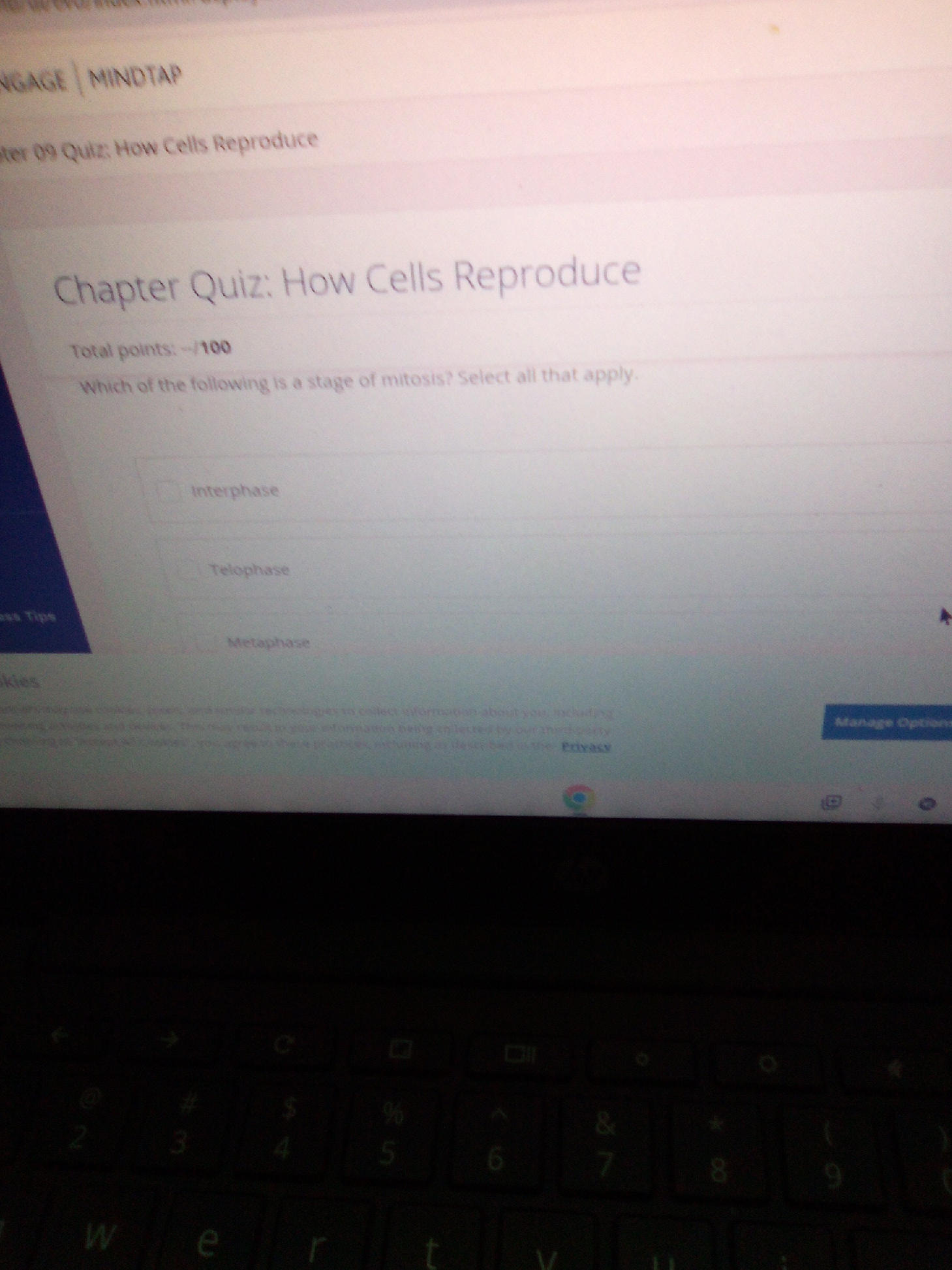 Which of the following is a stage of | StudyX