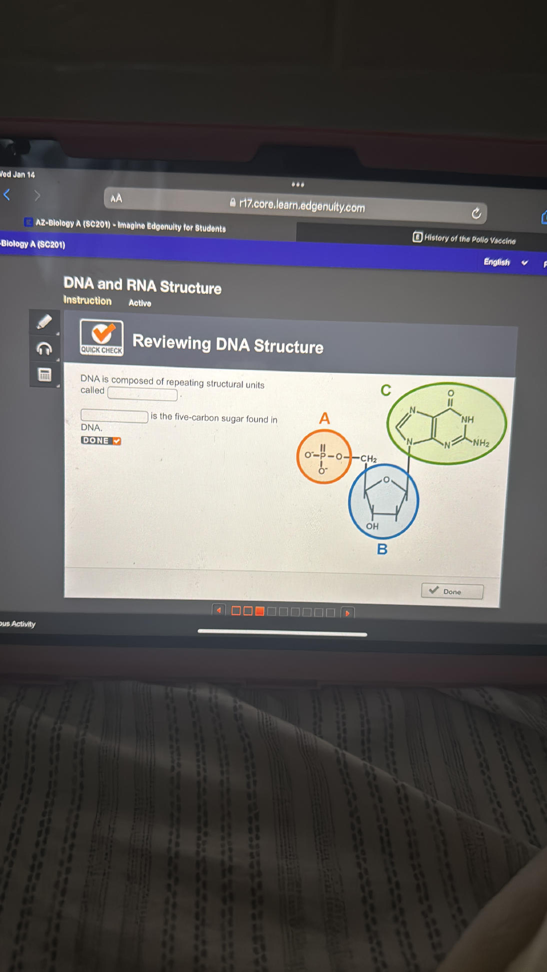 Reviewing DNA Structure DNA is composed of | StudyX
