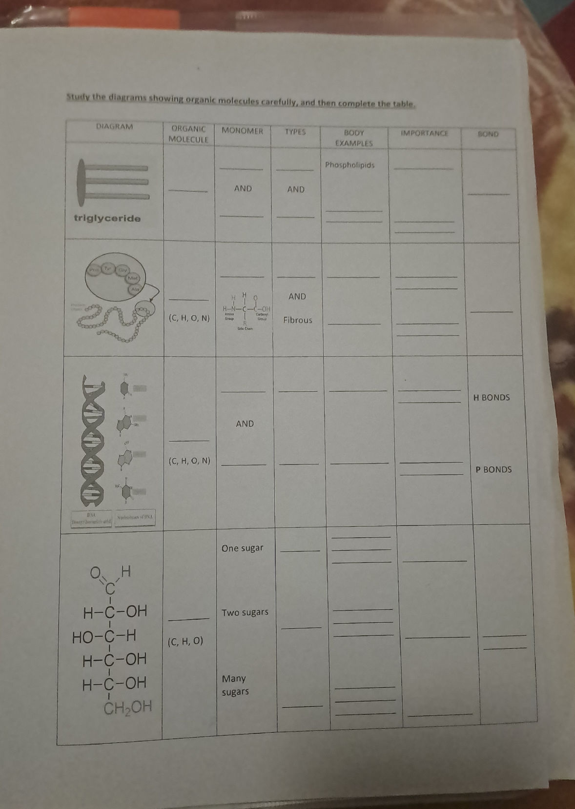 Study the diagrams showing organic molecules | StudyX