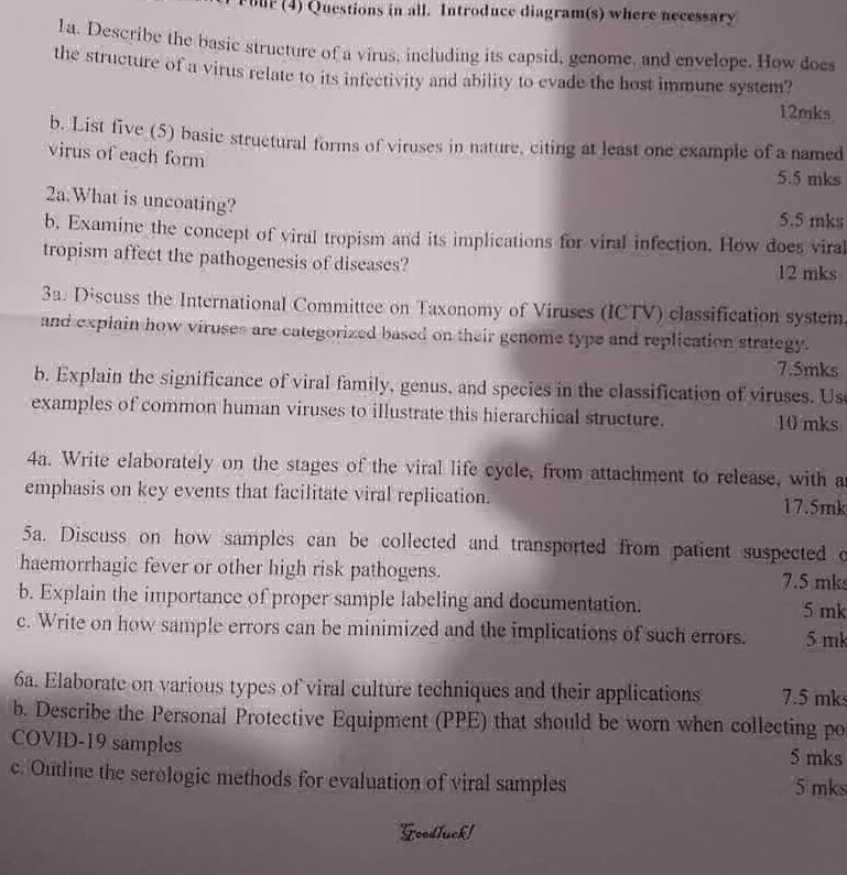 4a. Write elaborately on the stages of the | StudyX