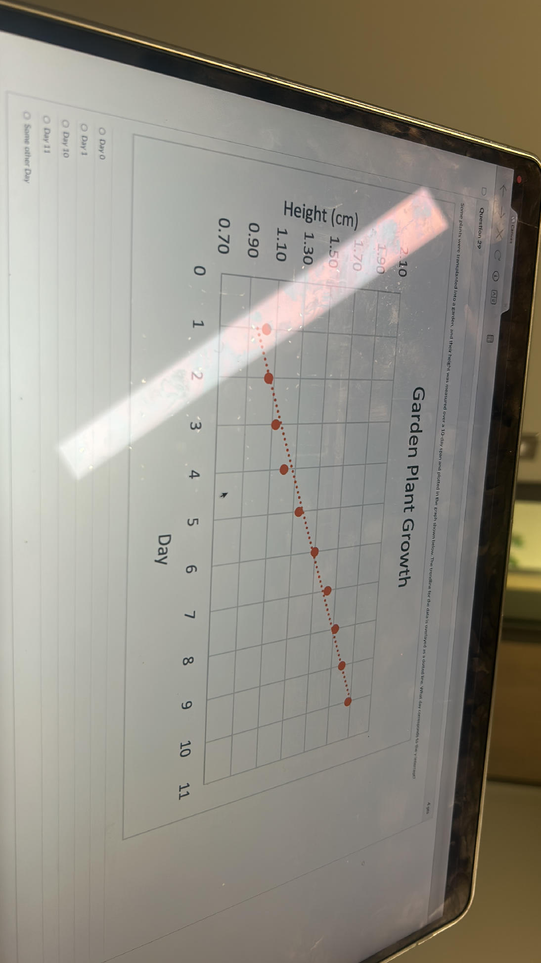 Some plants were transplanted into a garden, | StudyX