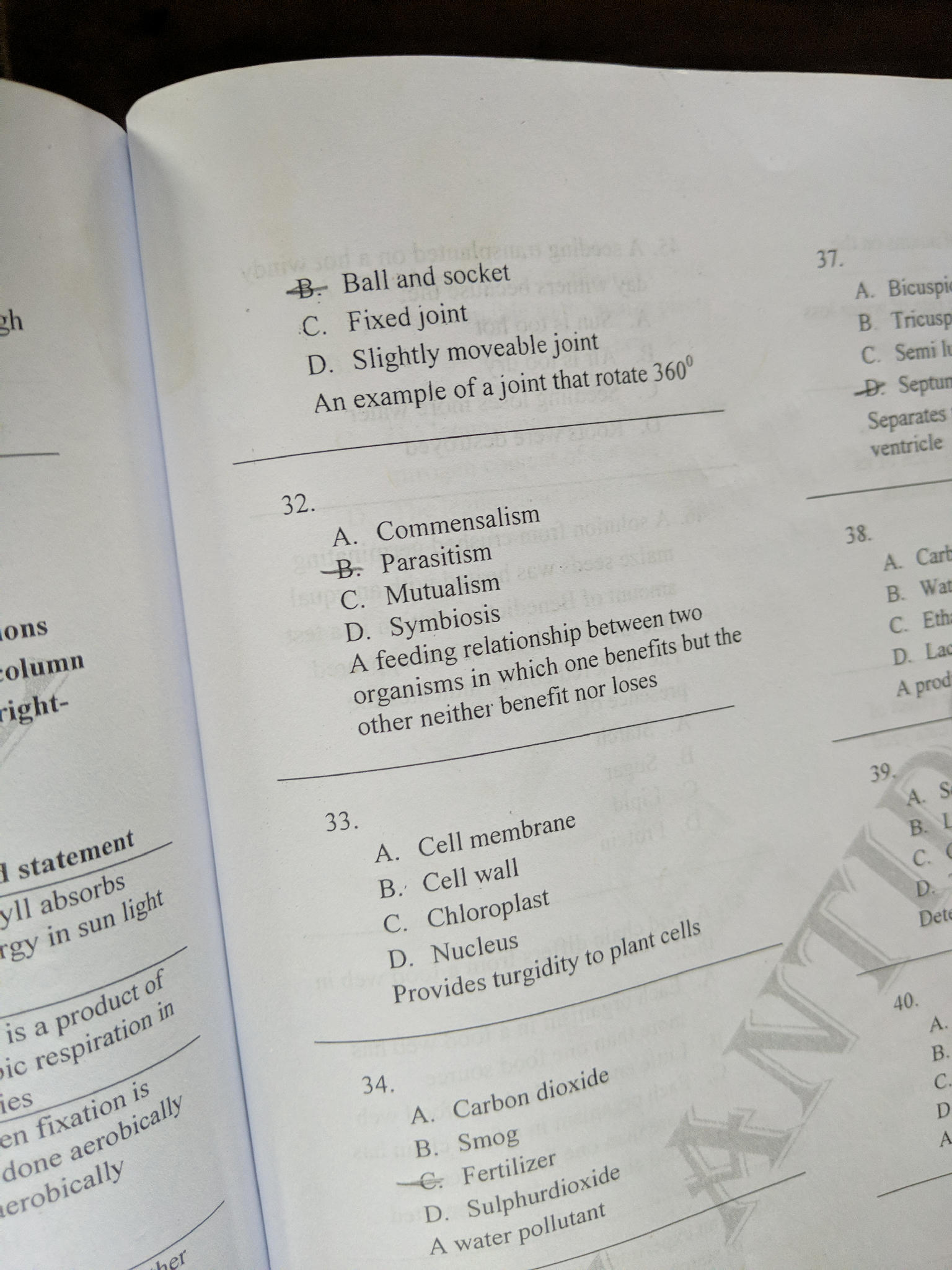 B. Ball and socket C. Fixed joint D. | StudyX