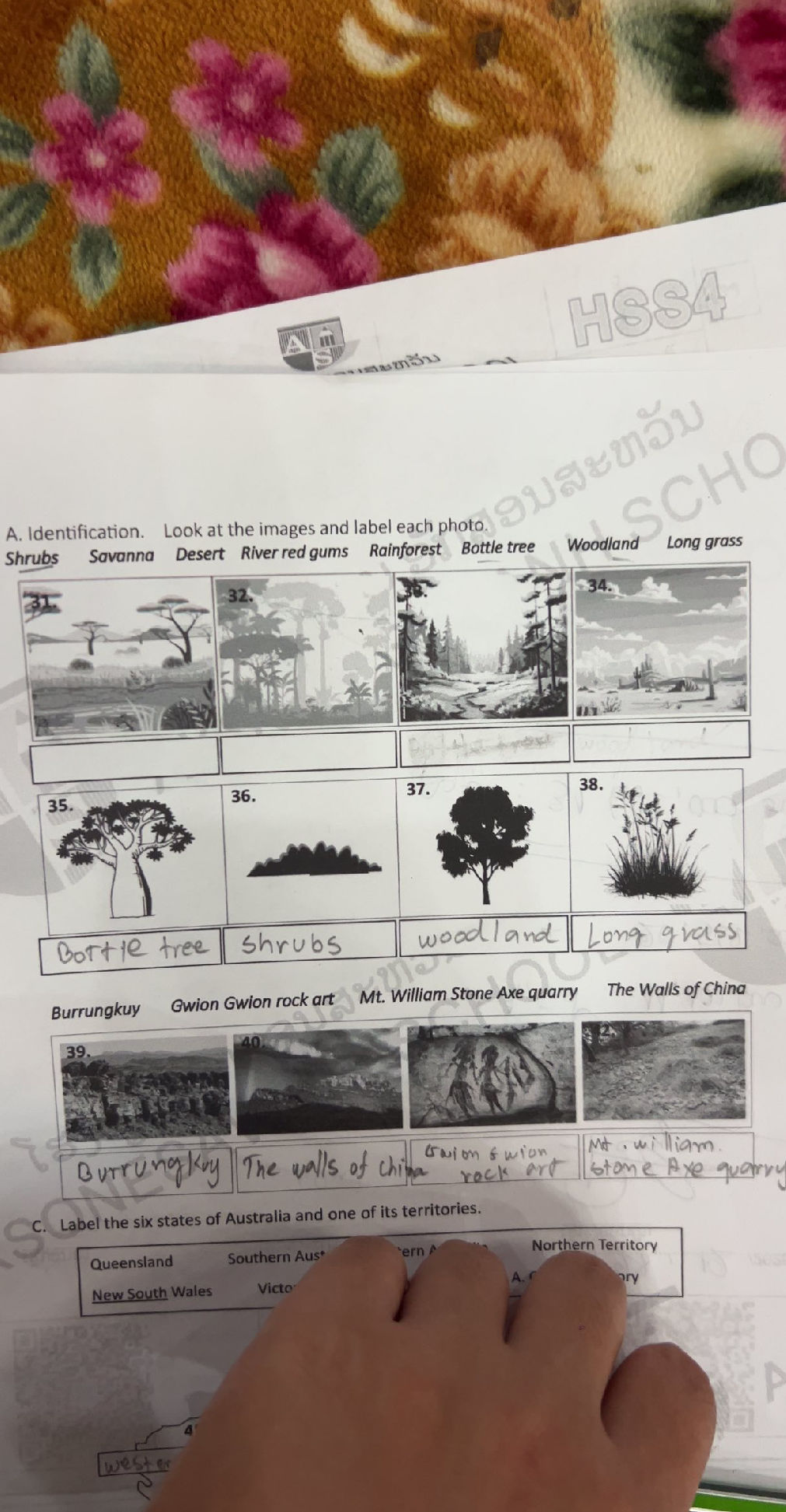 A. Identification. Look at the images and | StudyX