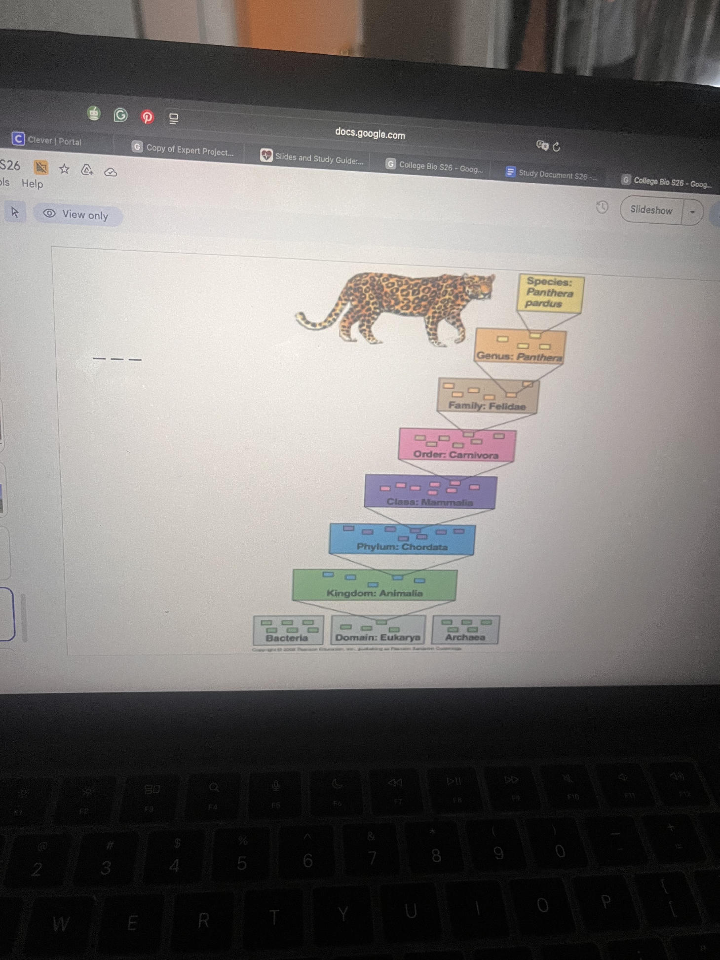The diagram illustrates the taxonomic | StudyX