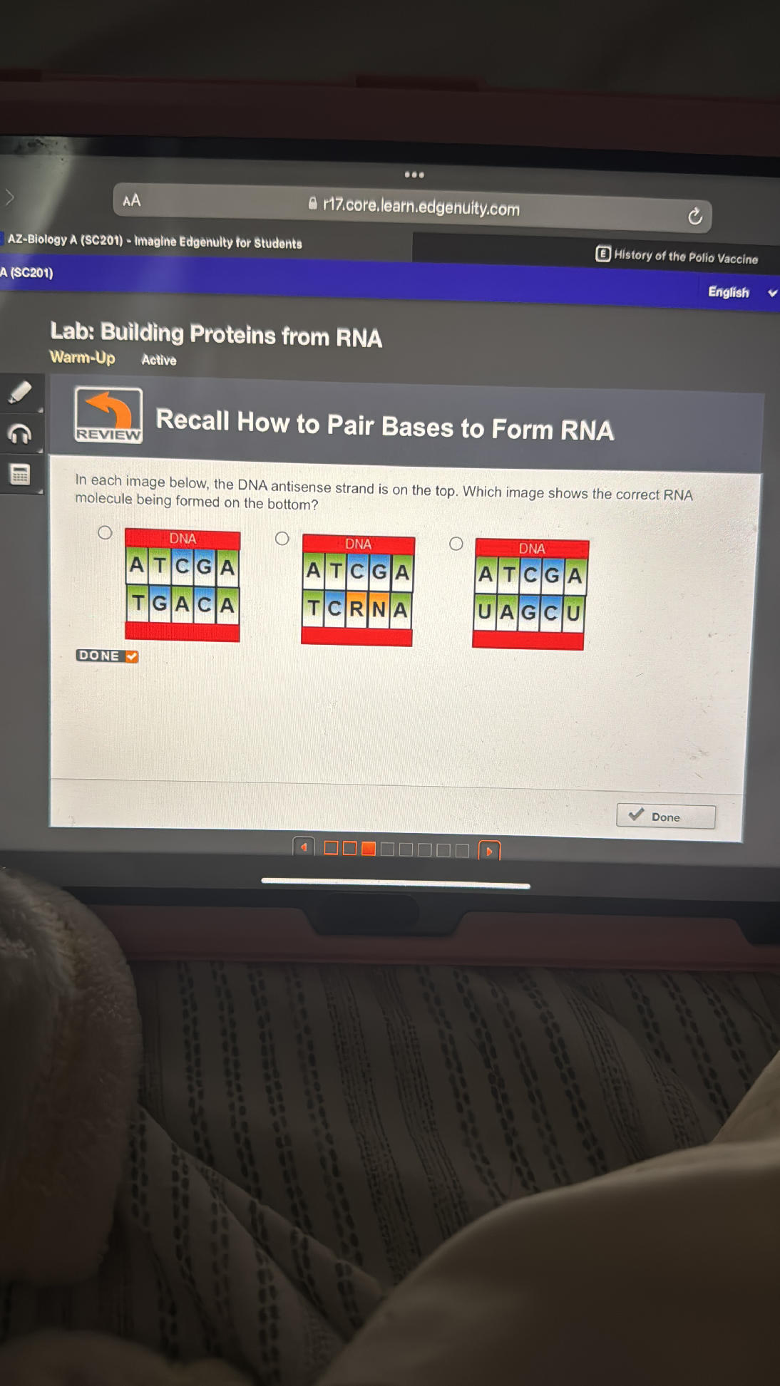 In each image below, the DNA antisense