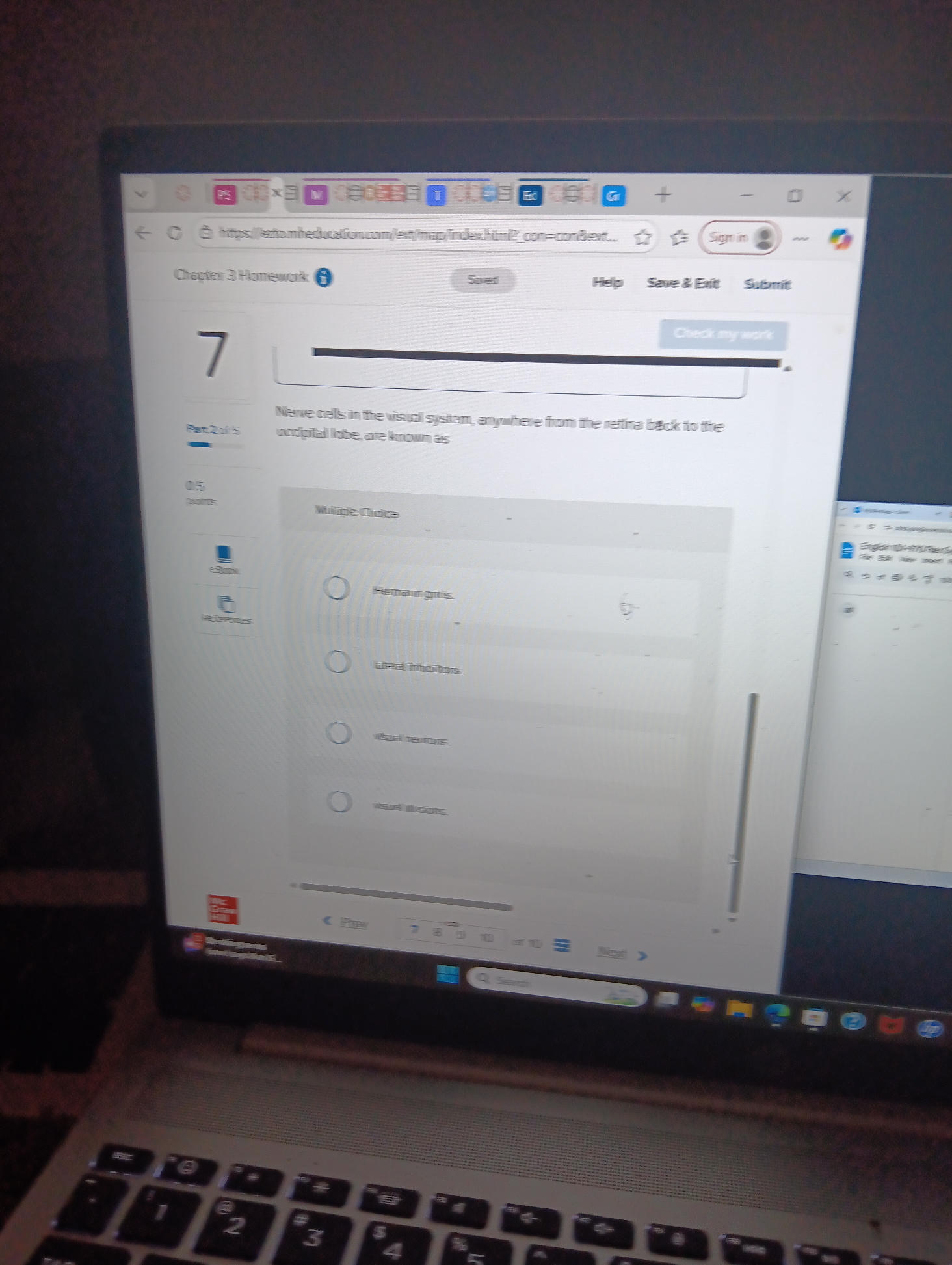 Nerve cells in the visual system, anywhere | StudyX