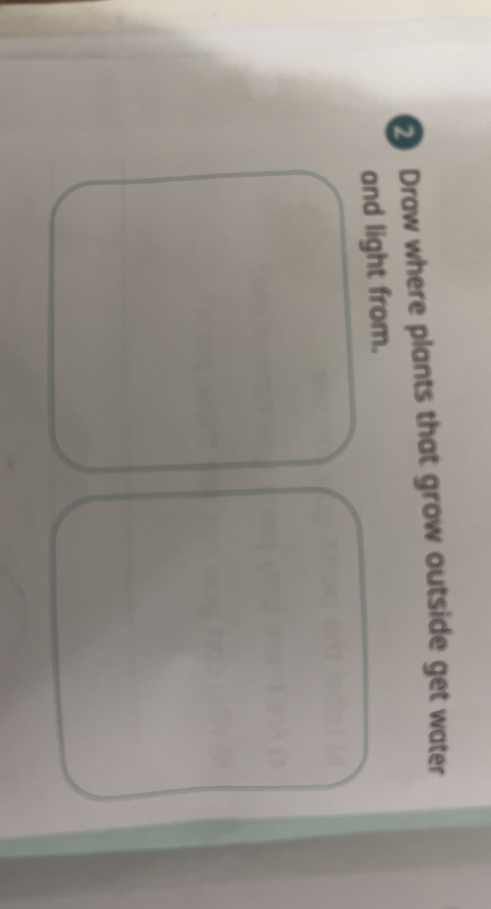 Draw where plants that grow outside get | StudyX