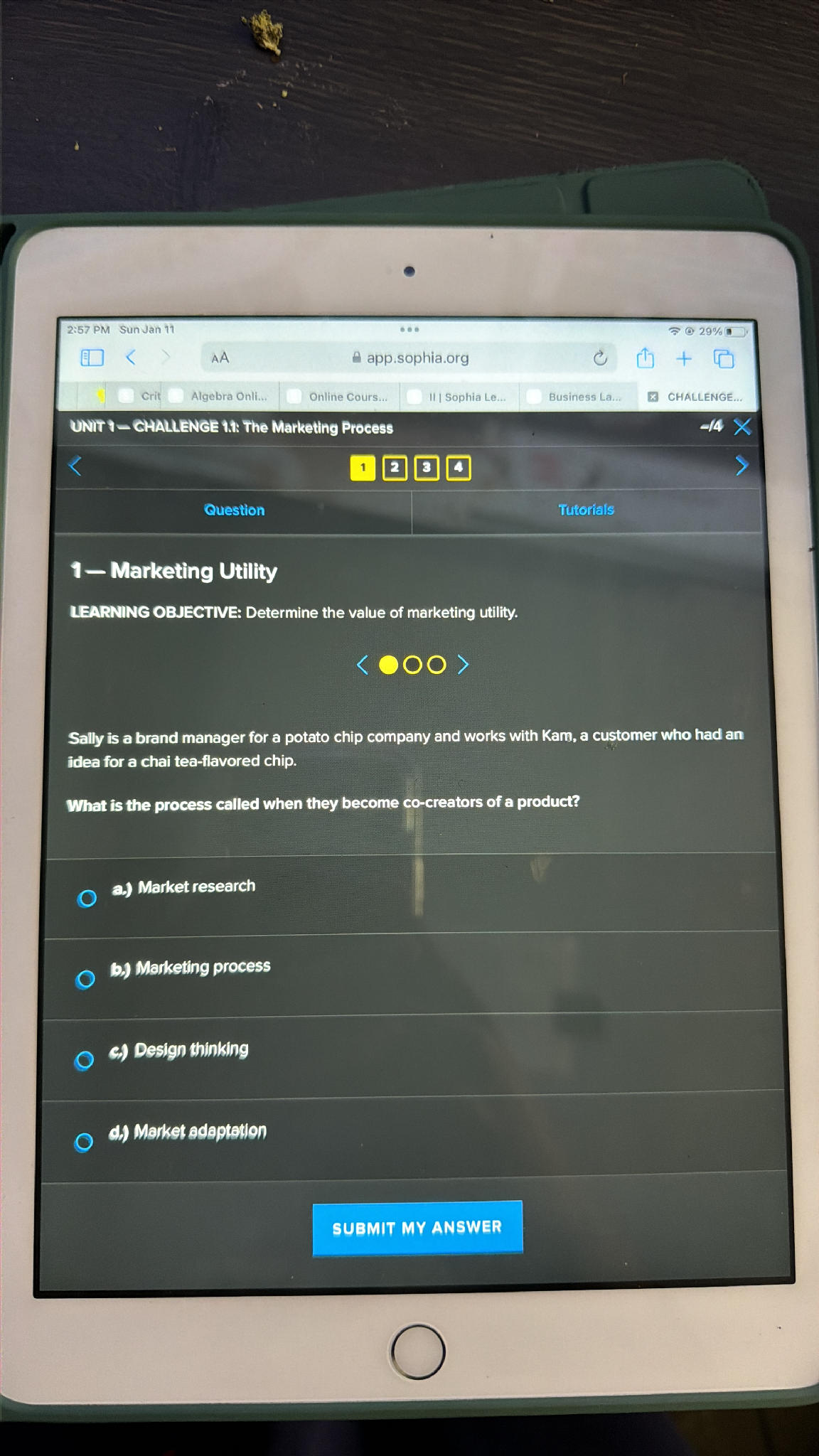 1 – Marketing Utility Sally is a brand | StudyX