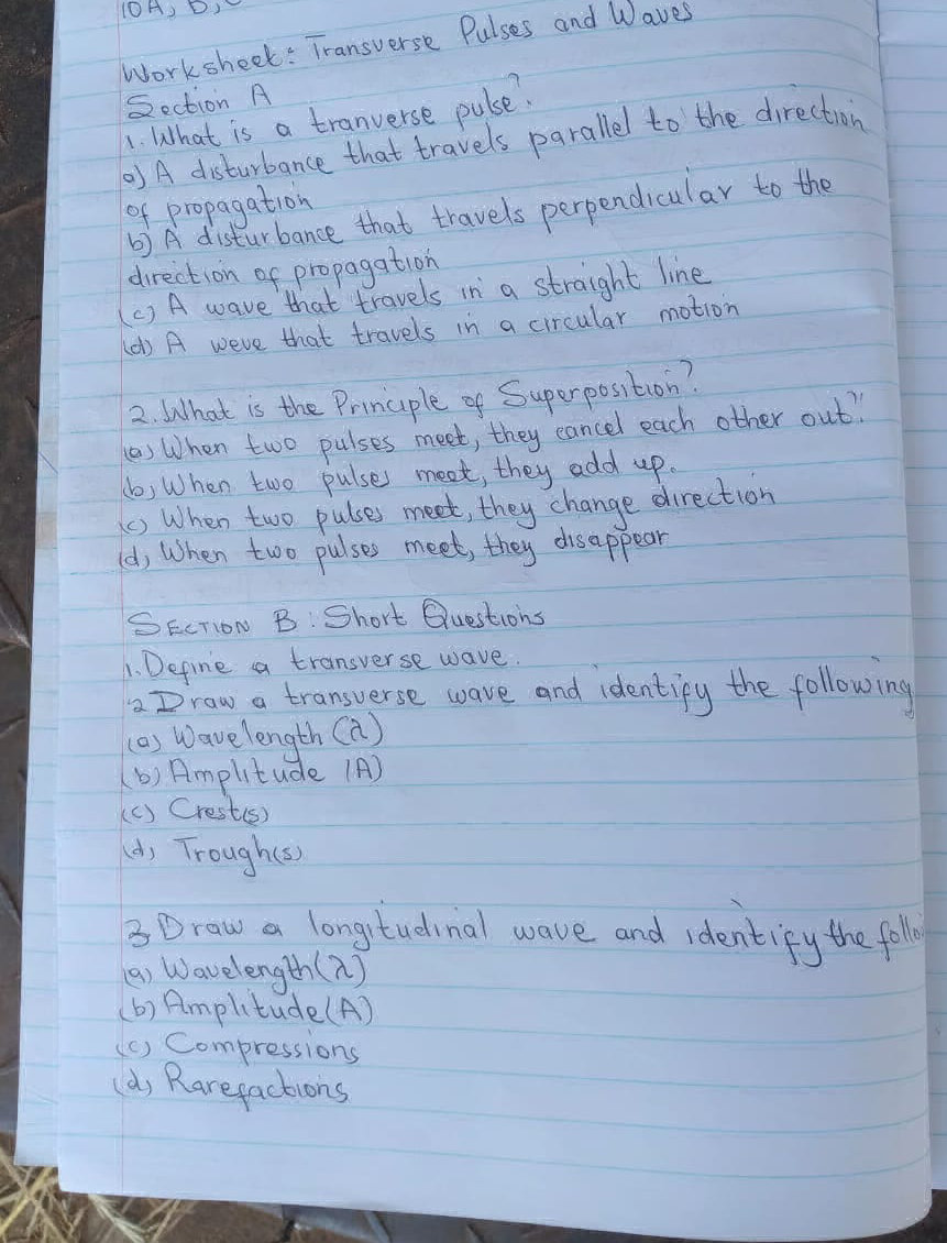 Define a transverse wave. Draw a transverse | StudyX