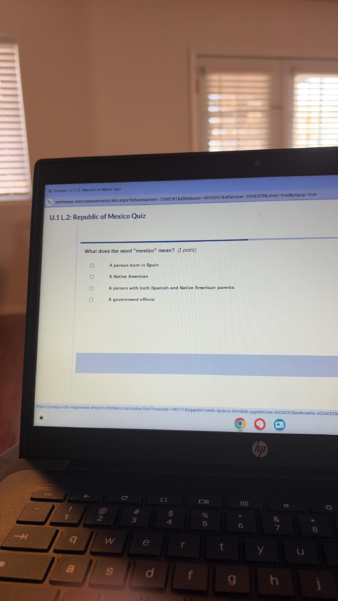 What does the word "mestizo" mean? (1 point) | StudyX