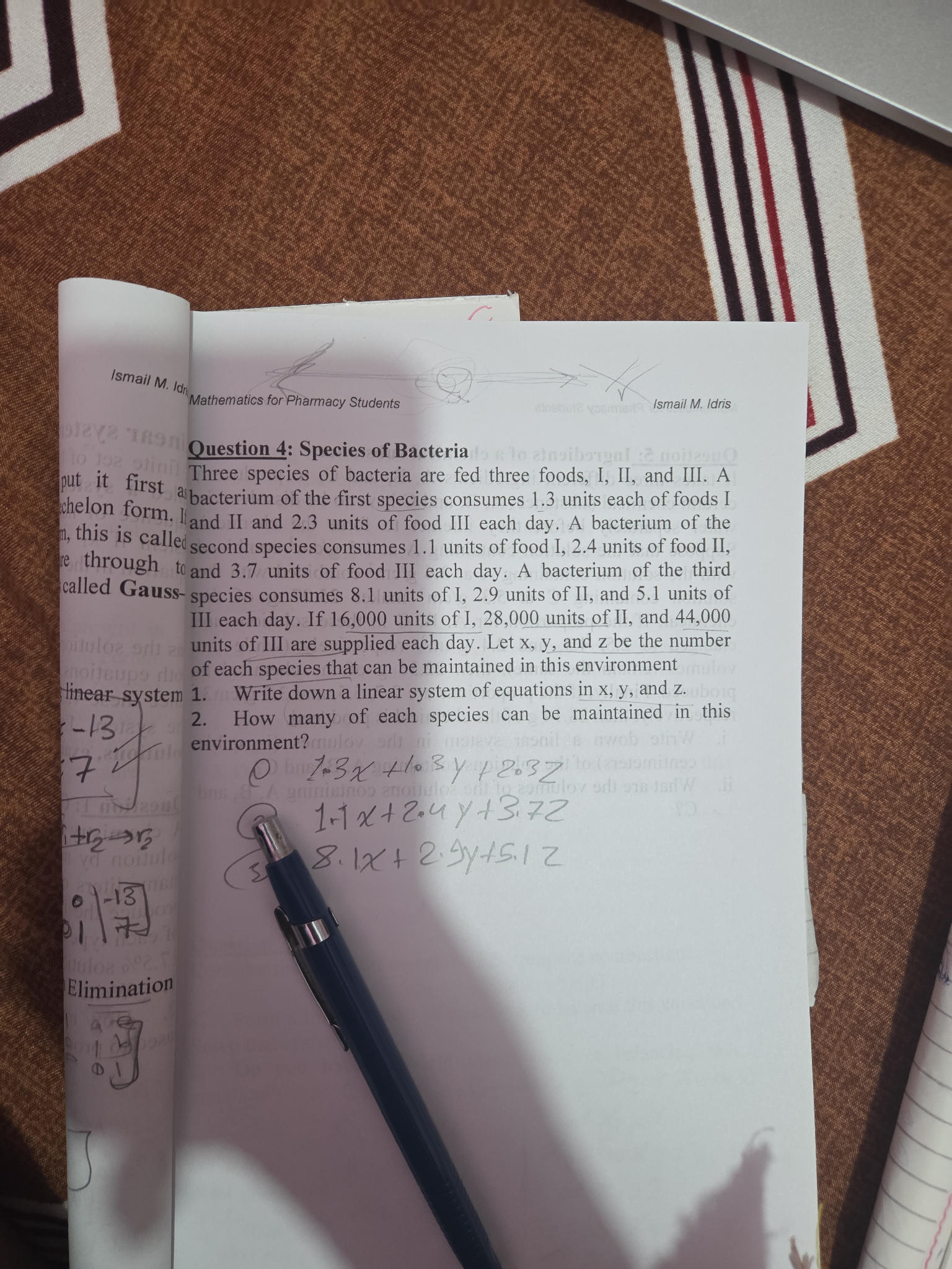 Question 4: Species of Bacteria Three | StudyX