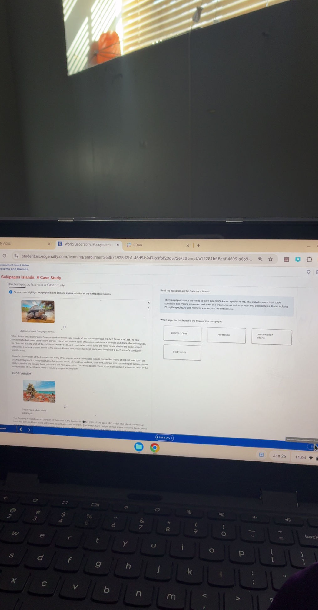 Read the paragraph on the Galápagos Islands. | StudyX