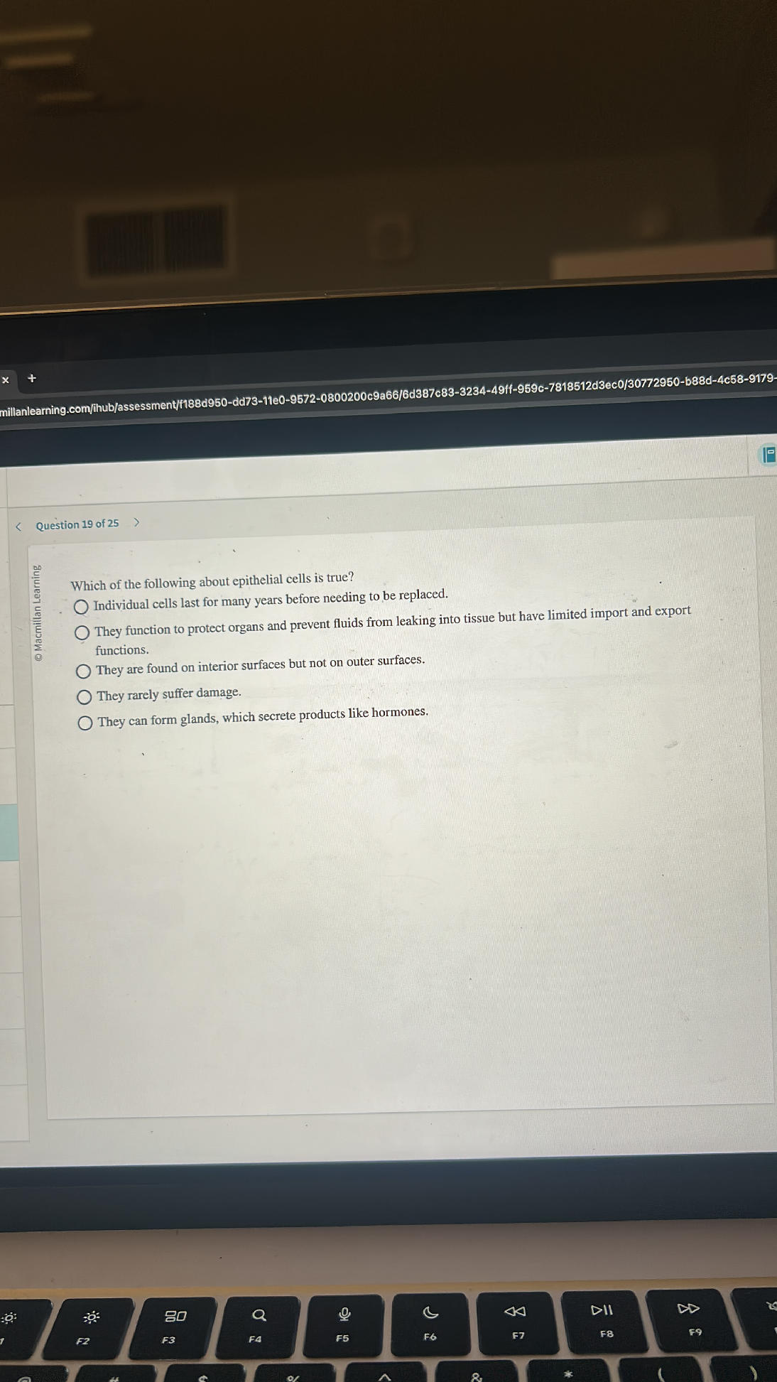 Which of the following about epithelial | StudyX