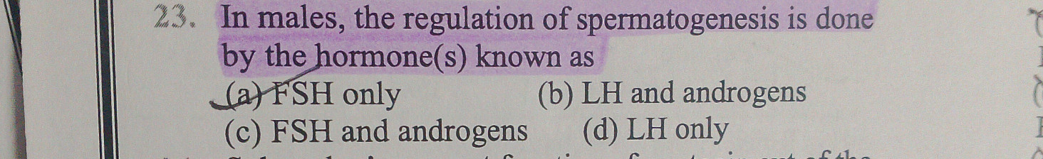 In males, the regulation of spermatogenesis | StudyX