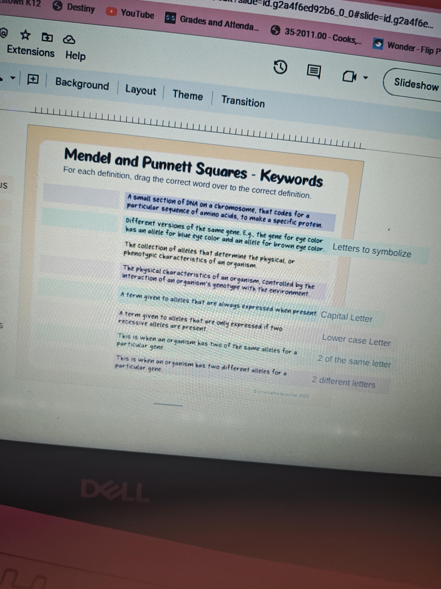 Mendel and Punnett Squares - Keywords For | StudyX