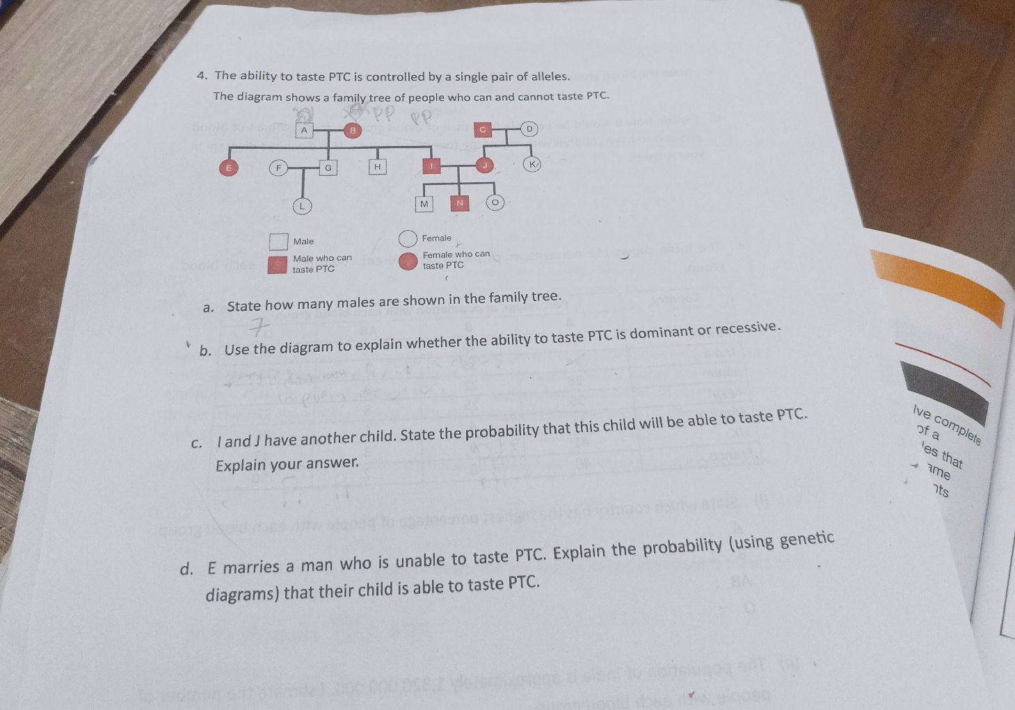 The ability to taste PTC is controlled by a