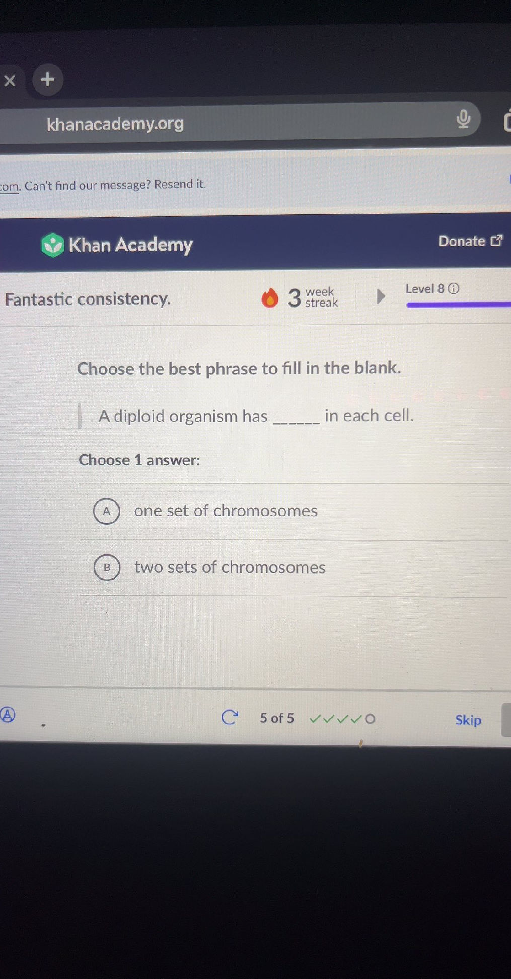 Choose the best phrase to fill in the blank. | StudyX