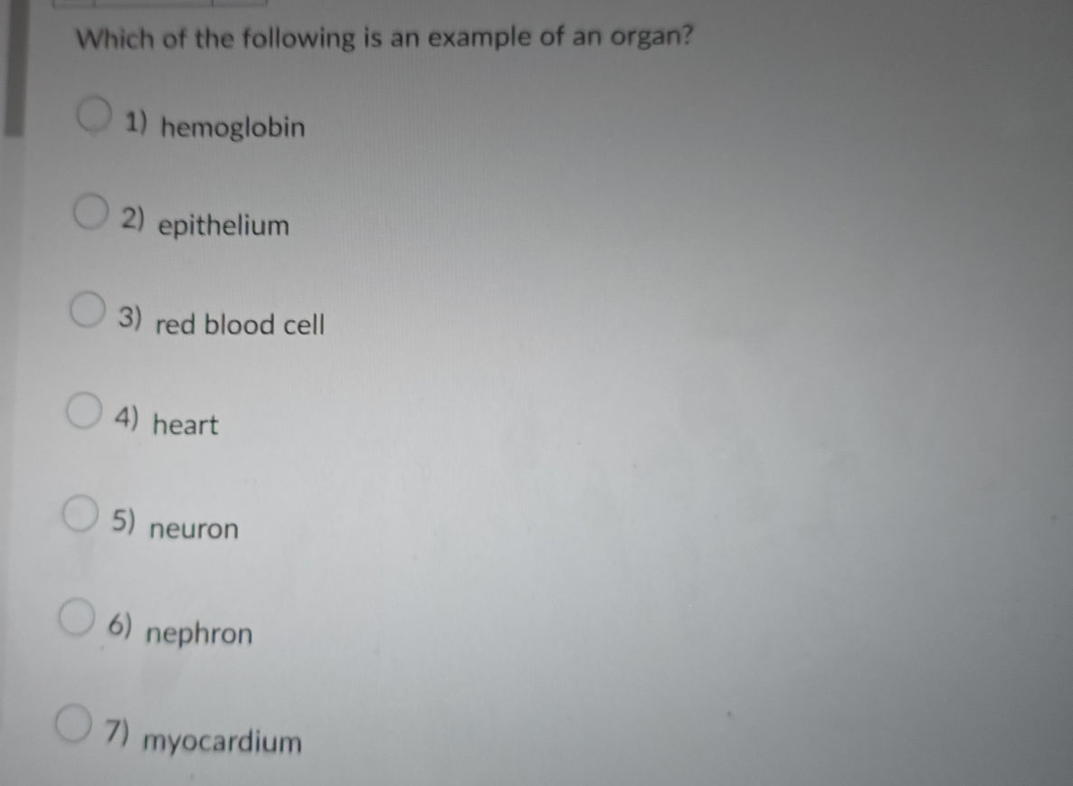 Which of the following is an example of an | StudyX