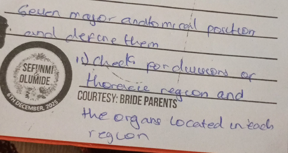 Seven major anatomicail position and define | StudyX