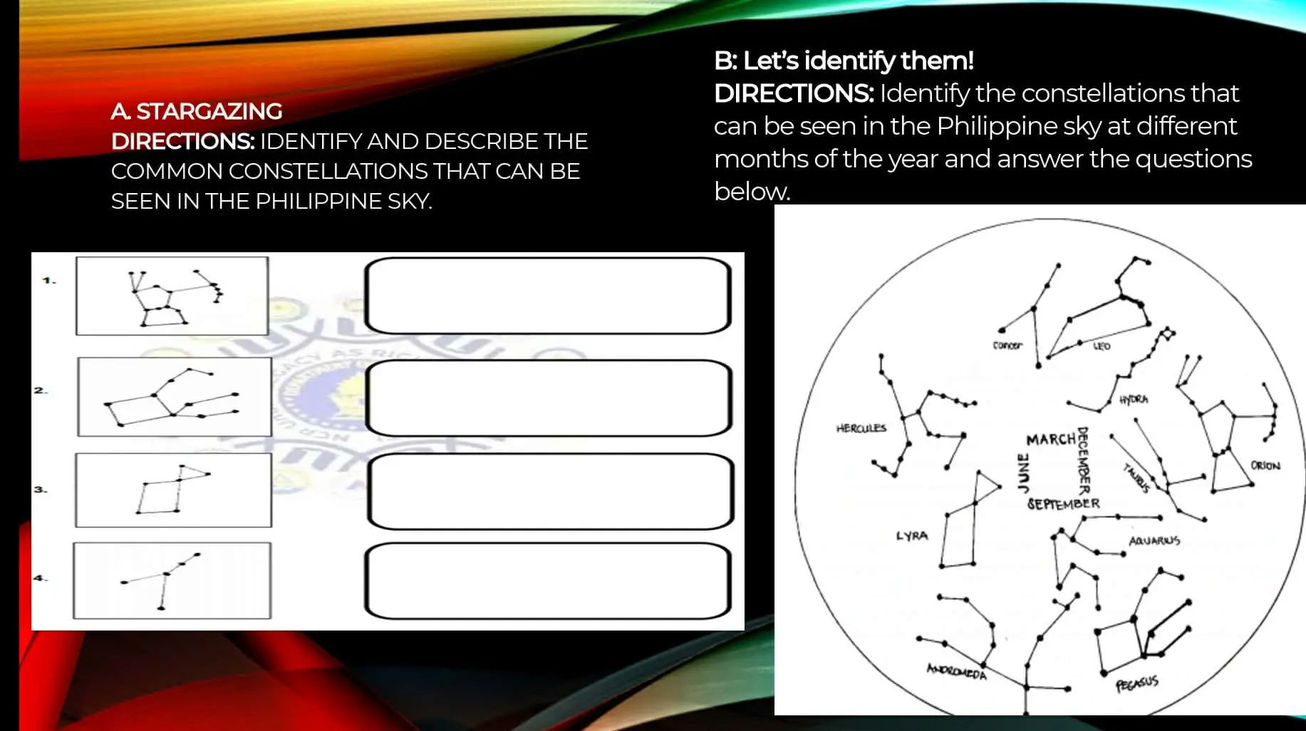 B: Let's identify them! DIRECTIONS: Identify | StudyX