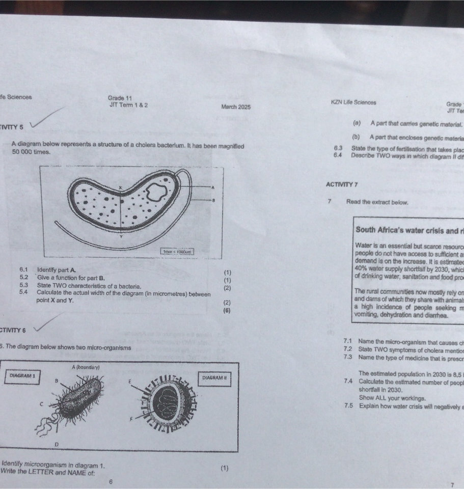 KZN Life Sciences Grade 11 JIT Term 1 2 | StudyX
