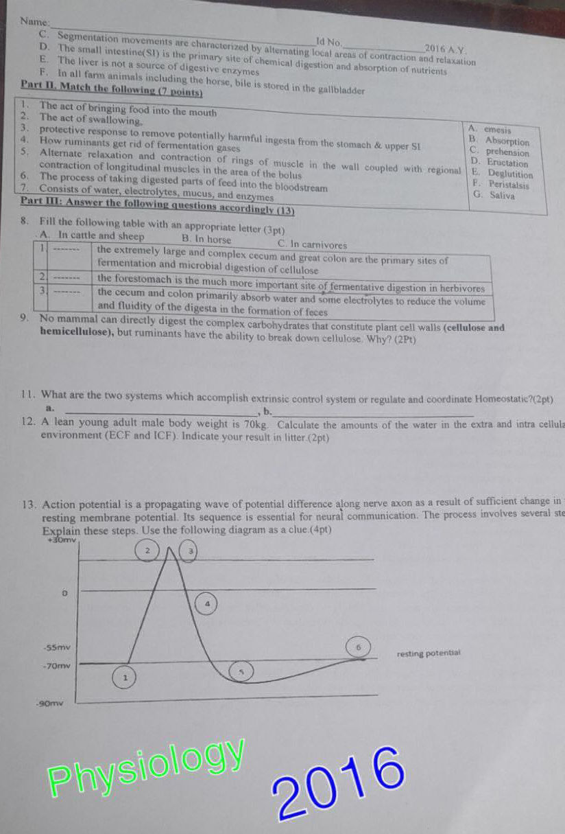 12. A lean young adult male body weight is | StudyX