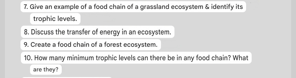 Give an example of a food chain of a | StudyX