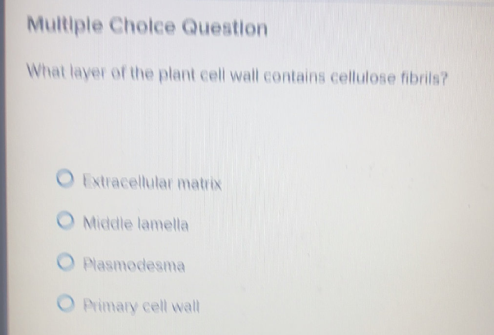 What layer of the plant cell wall contains | StudyX