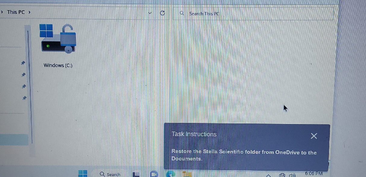 Task Instructions Restore the Stella | StudyX