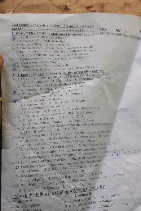 16. In the classification system which is | StudyX