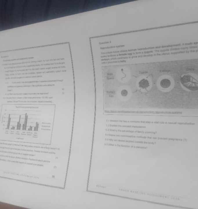 1.1 Identify bodies and excretory system 1. | StudyX