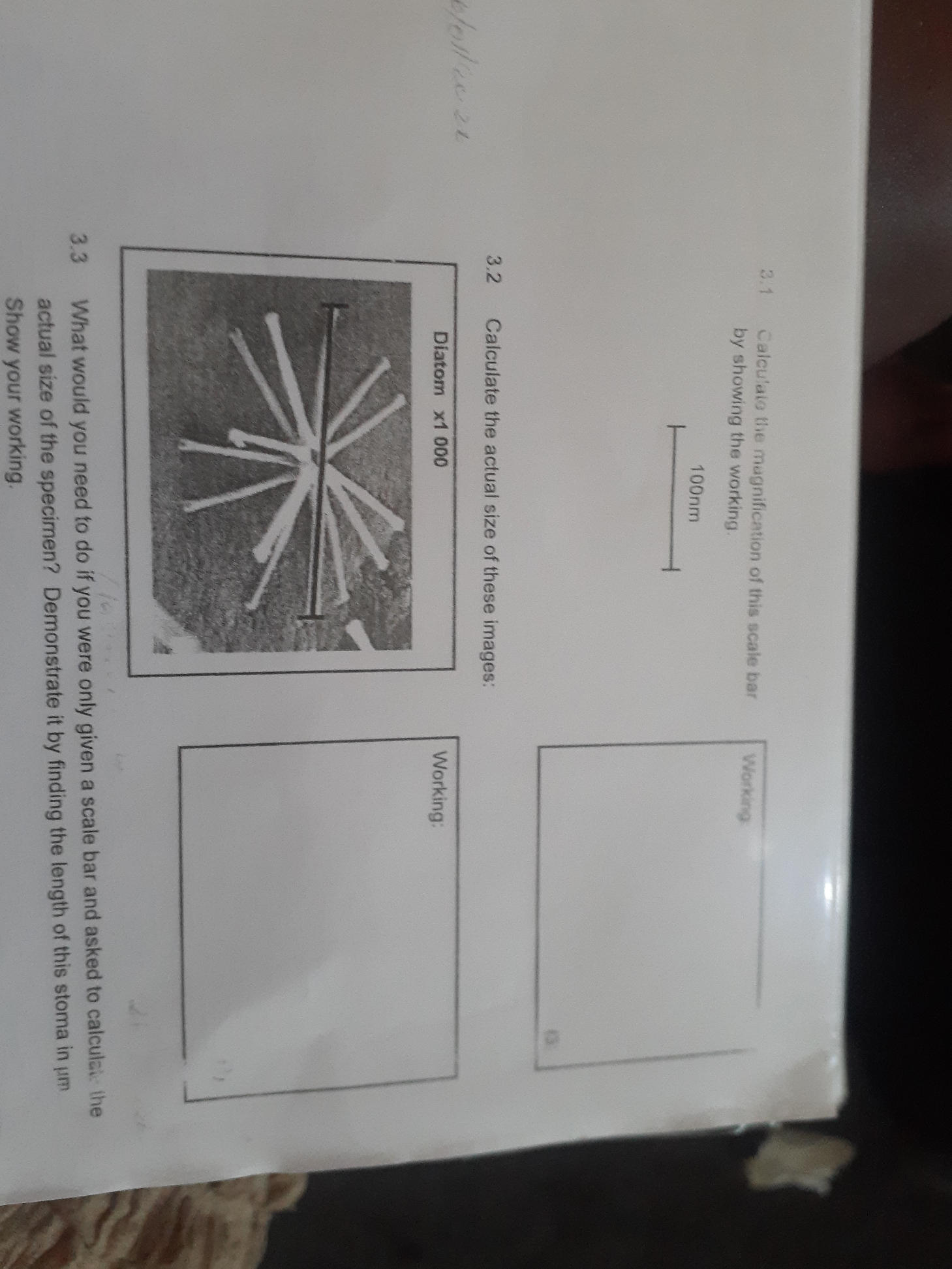 Calculate the magnification of this scale | StudyX