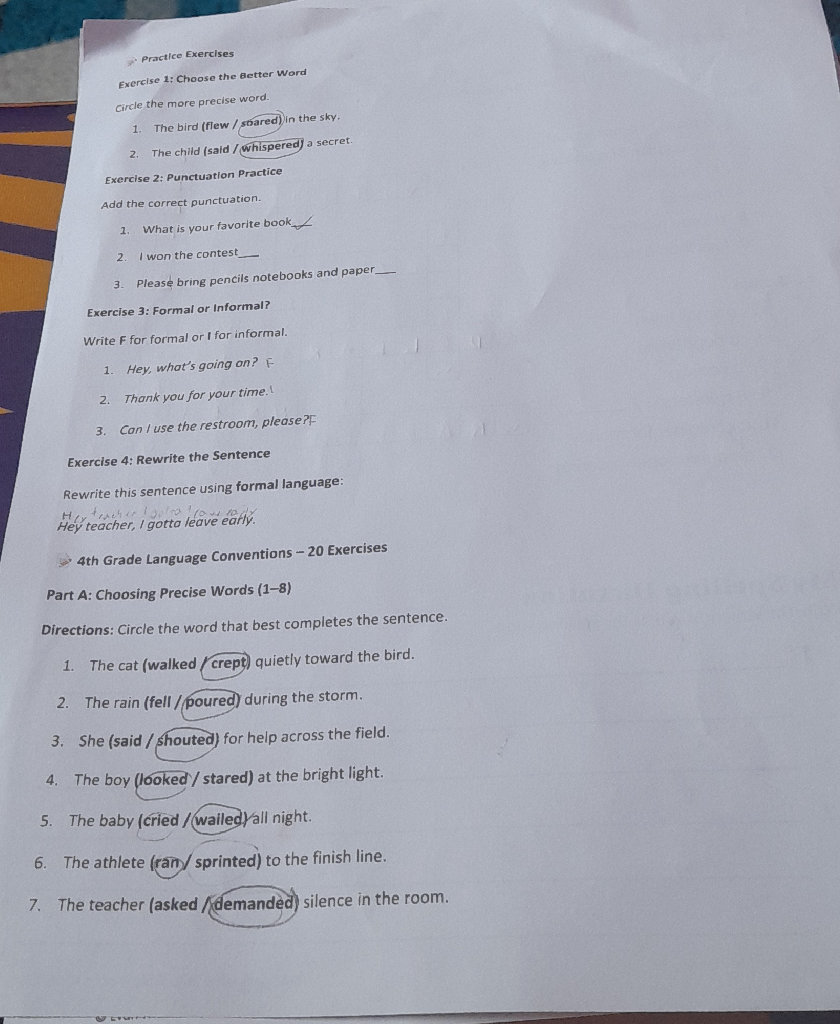 Exercise 2: Punctuation Practice Add the | StudyX