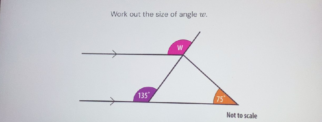 Work out the size of angle w. [Image of | StudyX