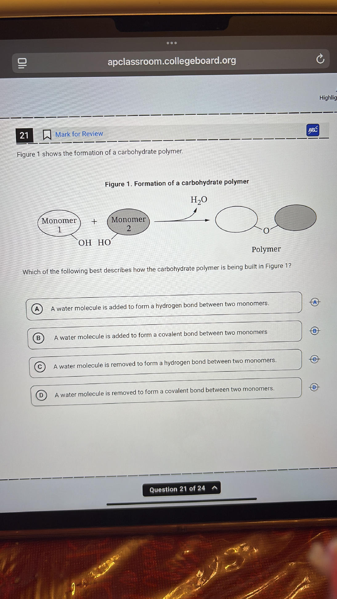 Figure 1 shows the formation of a | StudyX