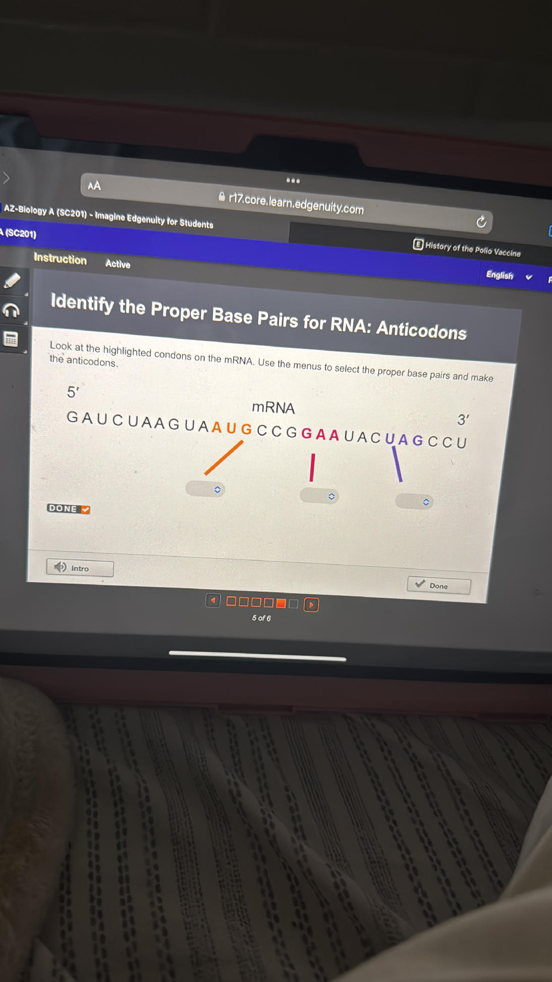 Identify the Proper Base Pairs for RNA: